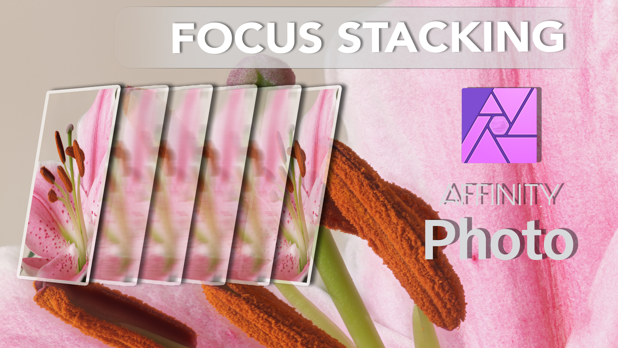 How to focus stack in Affinity Photo - AlexTara Photo